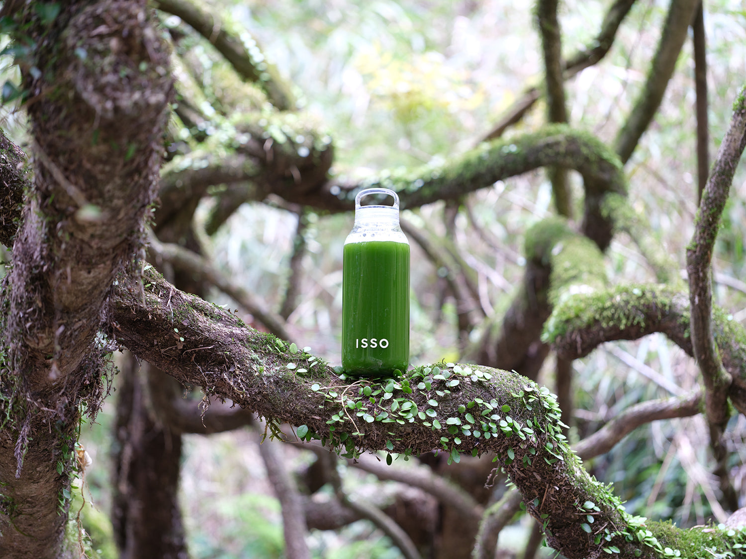 ORIGIN OF THE NAME ISSO